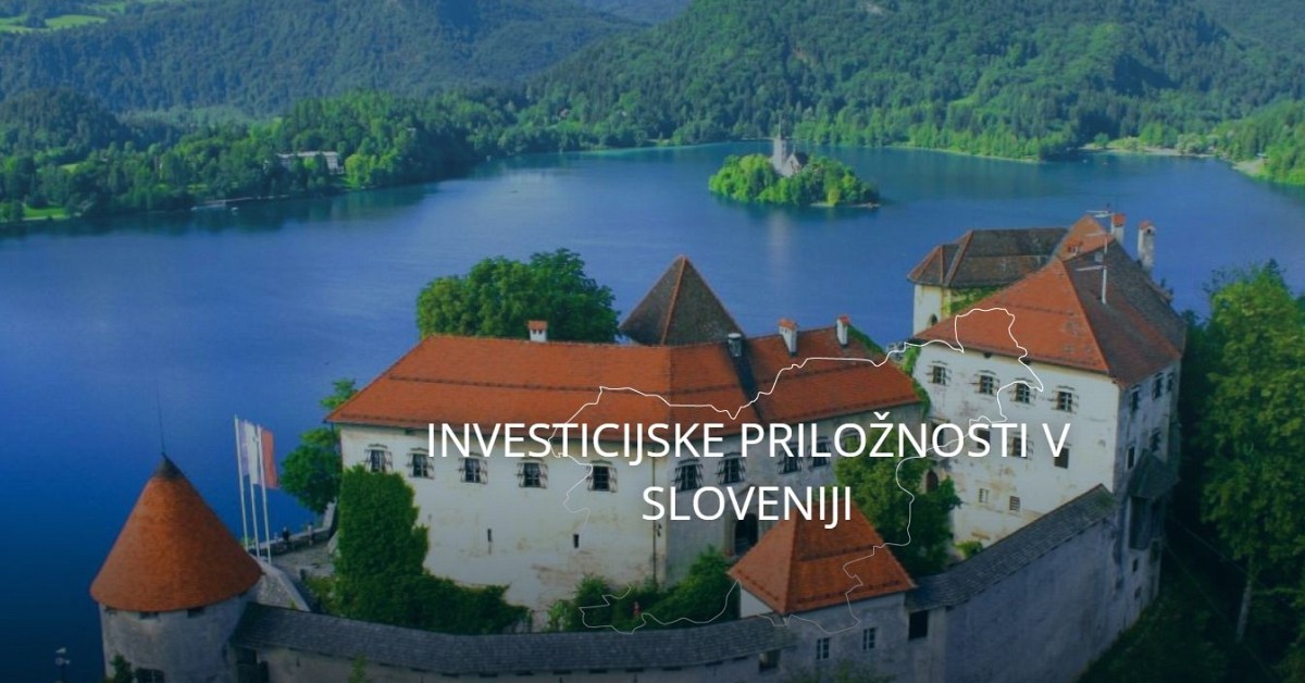 Razvojne agencije ostajajo ključne vstopne točke za investitorje ...